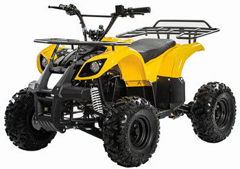 Universal Off Road Electric Atv Transport All Terrain Off Road Vehicles